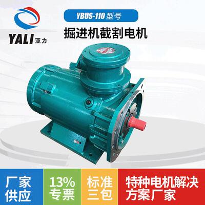 佳木斯隔爆型三相异步电动机YBUS-110徐工掘进机用截割防爆机