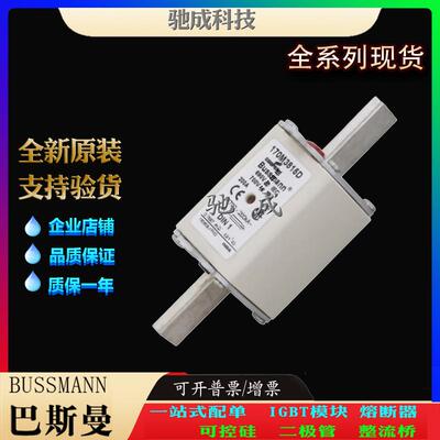 巴斯曼170M3719 170M3815 170M3743 厂家供货批零兼营 紧凑熔断器