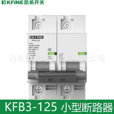 江苏大全凯帆断路器KFB3-125 2P3PD100A125A空气开关