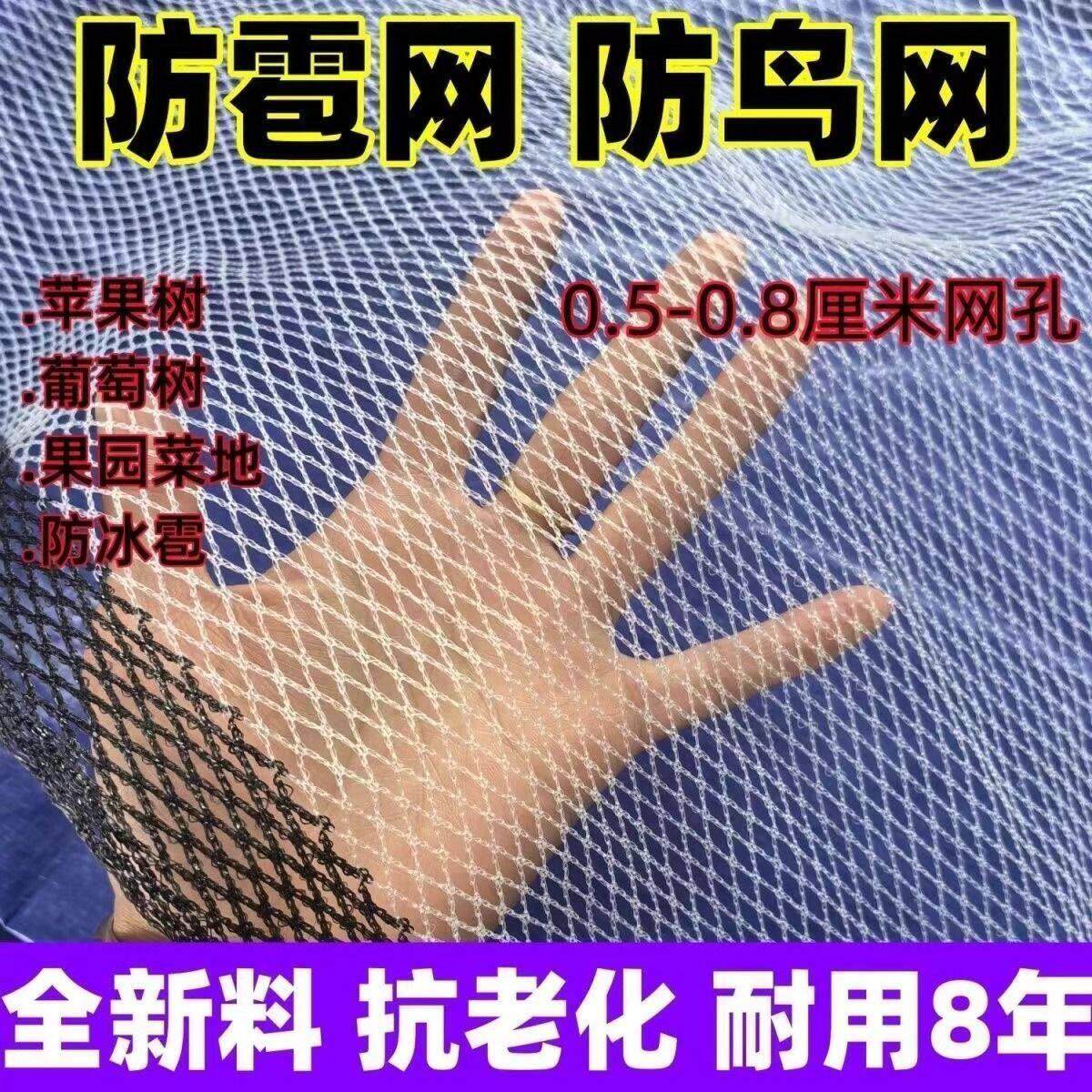 防雹网果园农用网葡萄户外防鸟网防冰雹网樱桃尼龙网防麻雀网果树