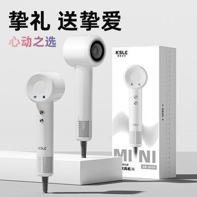 KSLE/凯斯利尔新款电吹风机家用负离子护发大风力速干静音电吹风