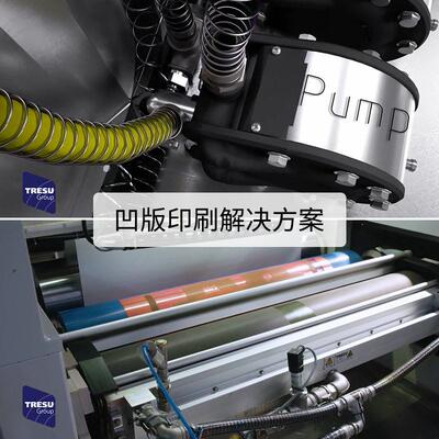 德国精工钛姆勒timmer性能气动双隔膜泵凹版印刷油墨涂料输送泵