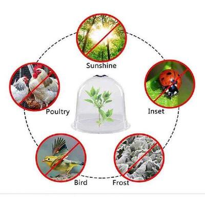 Garden Plant Cloche, Transparent Plant Dome Bell Cover 6