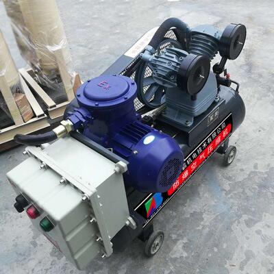 防爆气泵 小型防爆空气压缩机 活塞式防爆压缩机VW-0.42/8