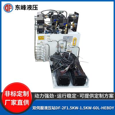 双伺服液压站工程机械用非标液压站DF-2F1.5KW-1.5KW-60L-HEBDY