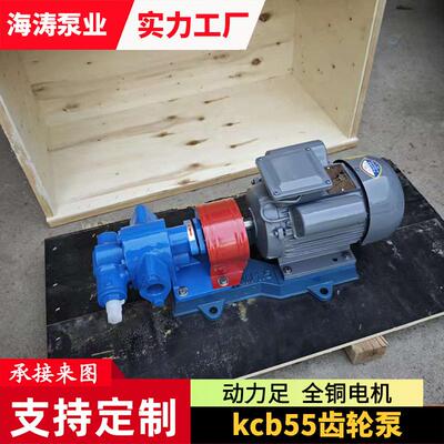 泊KCB55齿轮泵铸铁工业用泵输送润滑油类性能稳定内啮合