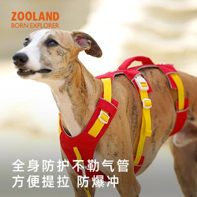 ZOOLAND狗狗胸背牵引绳小中大型犬遛狗可提拉防挣脱爆冲宠物链子