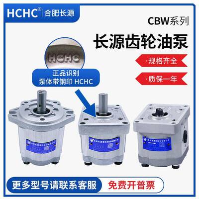 合肥齿轮油泵CBW-F304铸铝液压机齿轮电动油泵节能高压