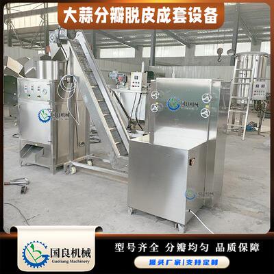 800公斤大蒜分瓣设备干法大蒜分瓣机无损伤全自动大蒜破瓣机