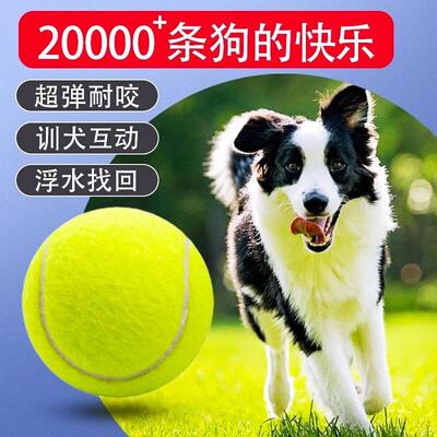 Dog Toy Ball: The Ultimate Entertainment and Boredom Buster