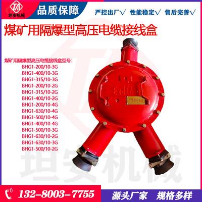 坦安BHG1-400/10-2G煤矿用隔爆型压电缆接线盒两通压接线端子