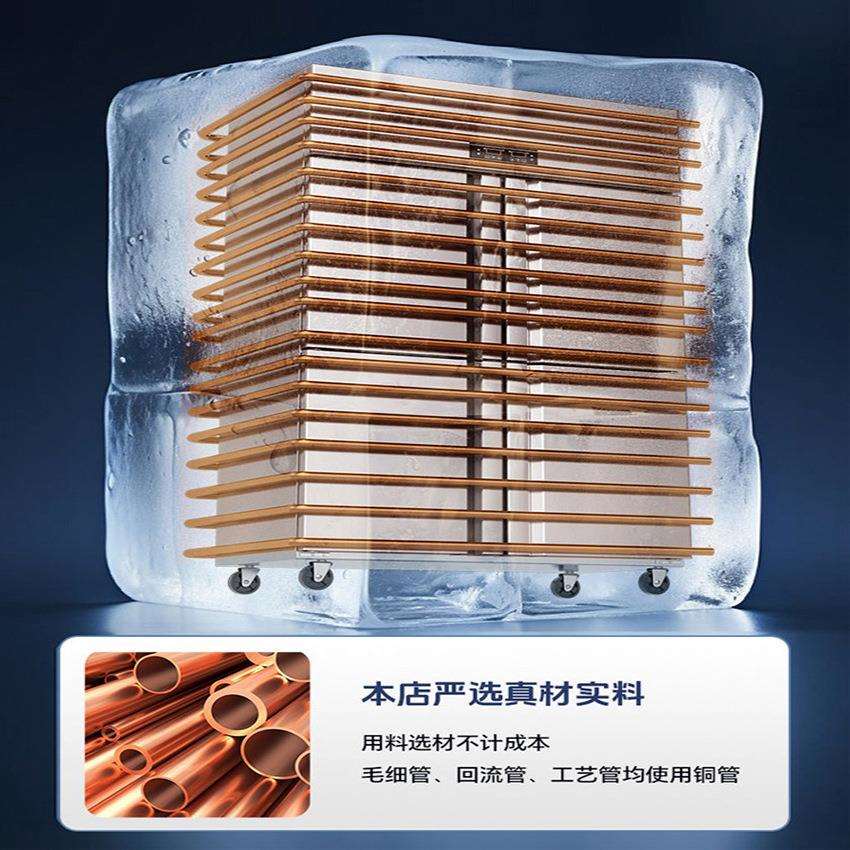 商用四六大门冰箱锈钢容量厨房立式鲜双温冷藏冷冻不240冰柜蔬菜