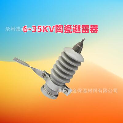 10KV高压避雷器HY5WS-17/50 /45-FT柜内线路型支柱瓷外套电容型