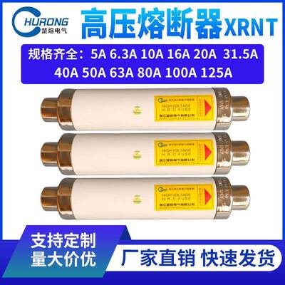 XRNT-10KV50A63A100A高压高分段能力限流熔断器保险管SFLAJ-12KV