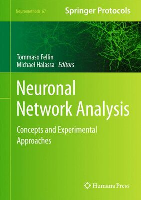 【预订】Neuronal Network Analysis