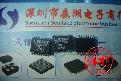 BDG1A16G BDG1A16 SOP-16 LUCENT 原装正品