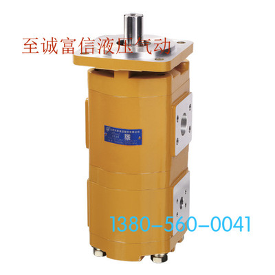 合肥长源  液压齿轮泵 CBGz2080-BFP  BFH/BFX/BLP/BLH/BLX