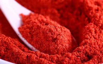 INDIANFOOD香料辣椒粉