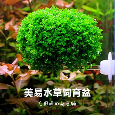 ETB美易 缸内水中盆景水草造景盆缸内微景观 亚克力 多种草籽可选