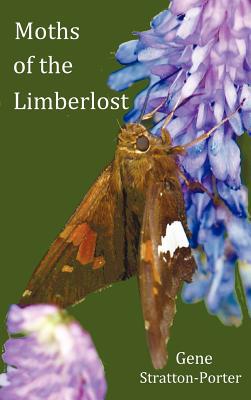 【预售】Moths of the Limberlost with Original Photogra...
