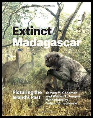 【预售】Extinct Madagascar: Picturing the Island's Past
