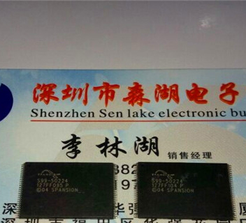 S99-50224 SPANSI  TSSOP-48原装正品系列供应