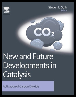 【预售】New and Future Developments in Catalysis: Activat