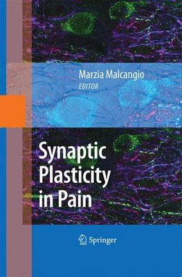 【预订】Synaptic Plasticity in Pain