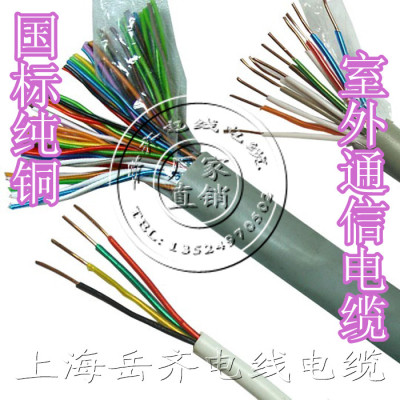 纯铜室外电话线两芯双绞HYA5*2*0.5室外通信电缆 5对电话电缆电线