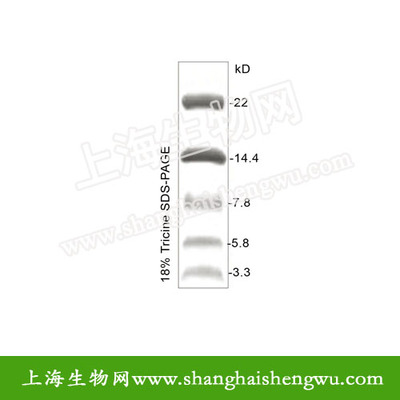 低分子量蛋白Marker100μl