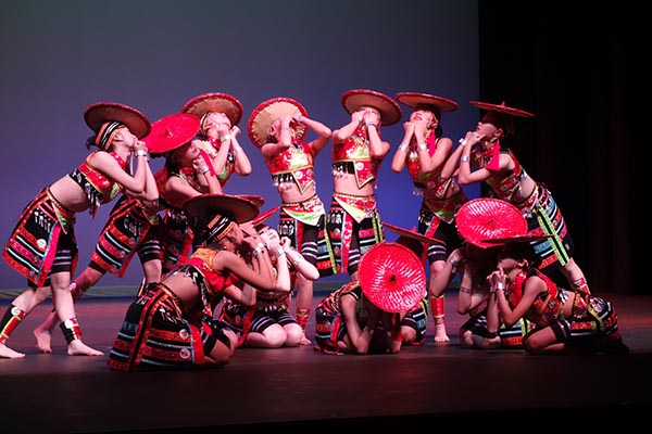 舞蹈服舞台演出服饰/民族舞服装/傣族服饰/花腰花/舞蹈服/桃李杯