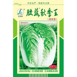 胶蔬秋季冬储大白菜种子