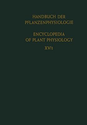 【预订】Differenzierung Und Entwicklung / Di...