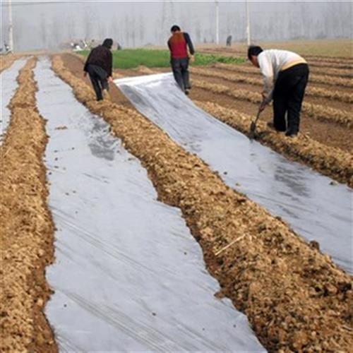塑料薄膜透明h加厚大棚厚农殖膜塑料布塑K料纸养膜1-8膜料薄膜