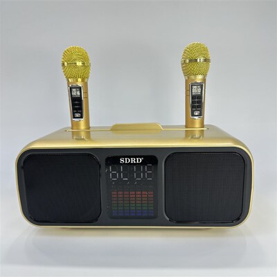 SD318蓝牙音箱双喇叭双无线x麦克风手机电视娱乐唱K歌卡拉OK一体