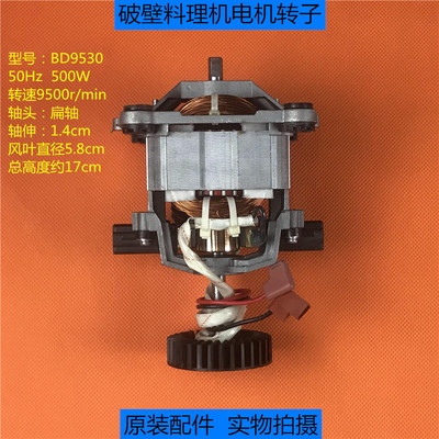 BD9530扁轴交流电机马达 破壁料理机豆浆机沙冰机通用电机转子