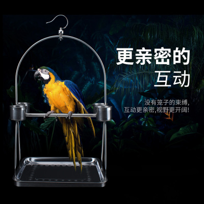 鹦鹉站架不锈钢大型虎皮玄凤绣眼伯劳中L小型活鸟训练鸟架子用品