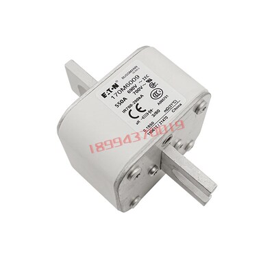 170M6195 170M6196 170M6197 170M6198全新快速熔断器保险丝