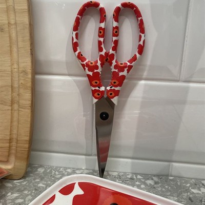 厨房料理剪刀北欧花剪冰箱贴剪家用不锈钢鸡骨剪沙拉剪花材剪装饰