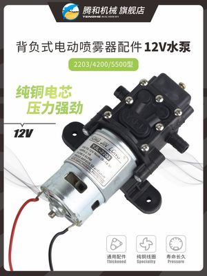 12V电动喷雾器水泵纯铜电机自吸式隔膜泵2203/4200/5500型YJL配件