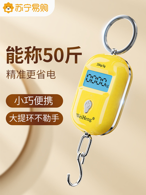 手提电子秤高精度便携式随身小称快递称重商用手拎弹簧行李秤1648