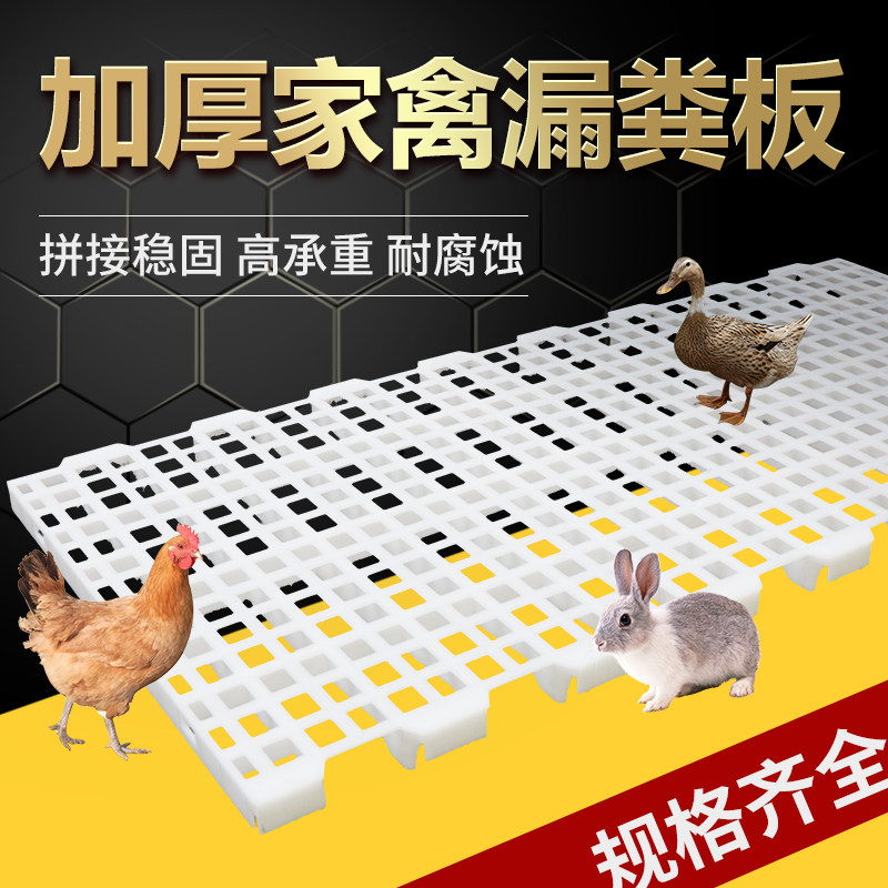 鸡用漏粪板家禽兔子塑料漏粪板养鸭鹅鸡网格漏粪脚垫鸡舍漏粪地垫