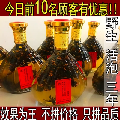 虎头蜂金环胡蜂泡酒三年直接用