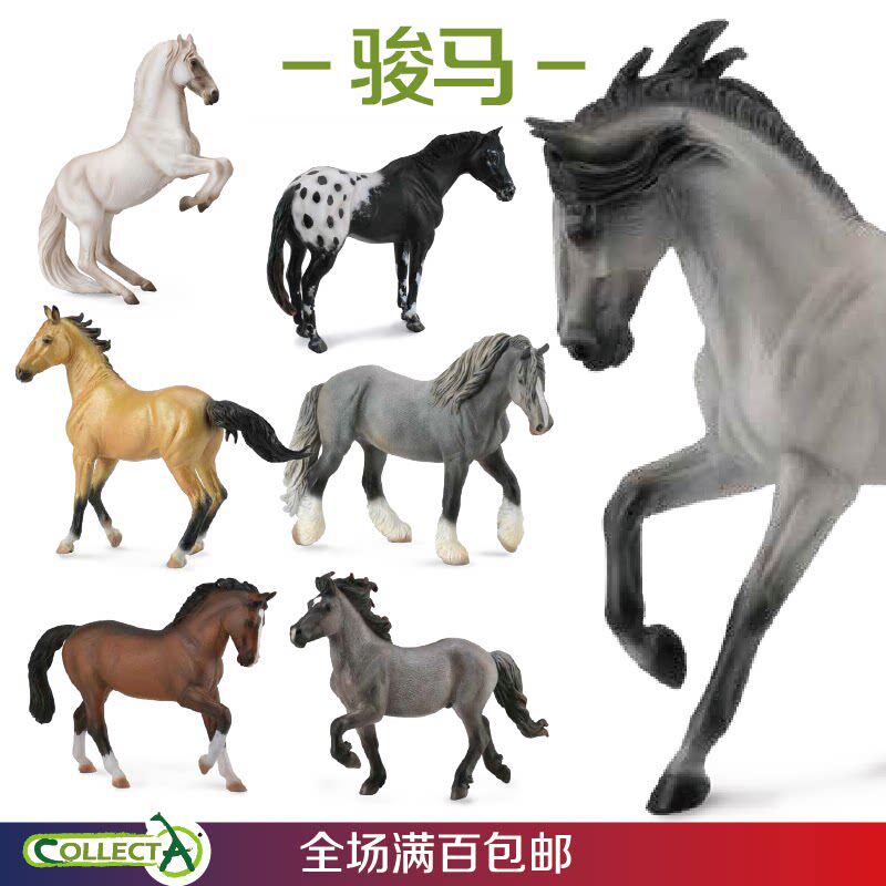 CollectA马 仿真模型玩具马术汗血阿帕卢萨纯血标准公母希尔野马