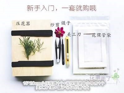 Hand-made lavender flowers baby plant decoration set gift