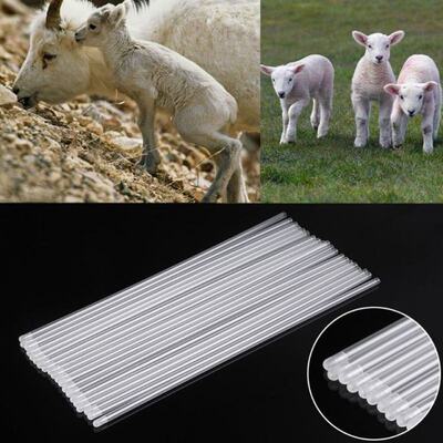 20Pcs Pet Canine Dog Goat Sheep Artificial Insemination Bree