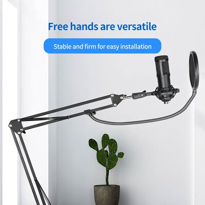 Karaoke Microphone Studio Condenser Microphone For KTV Broa