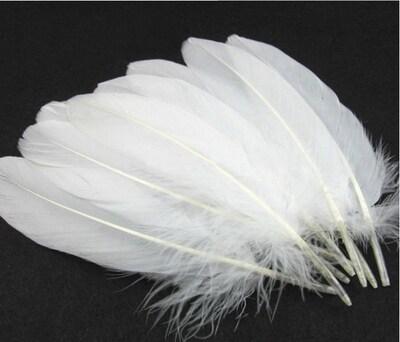 50pcs White Beautiful Large Goose Feathers 15-22cm / 5.91