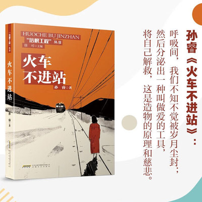 【新华文轩】火车不进站 孙睿 正版书籍小说畅销书 新华书店旗舰店文轩官网 安徽文艺出版社