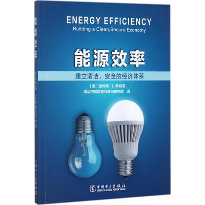 能源效率 (美)詹姆斯·L.斯威尼(James  L.Sweeney) 著;清华四川能源互联网研究院 译 正版书籍 新华书店旗舰店文轩官网